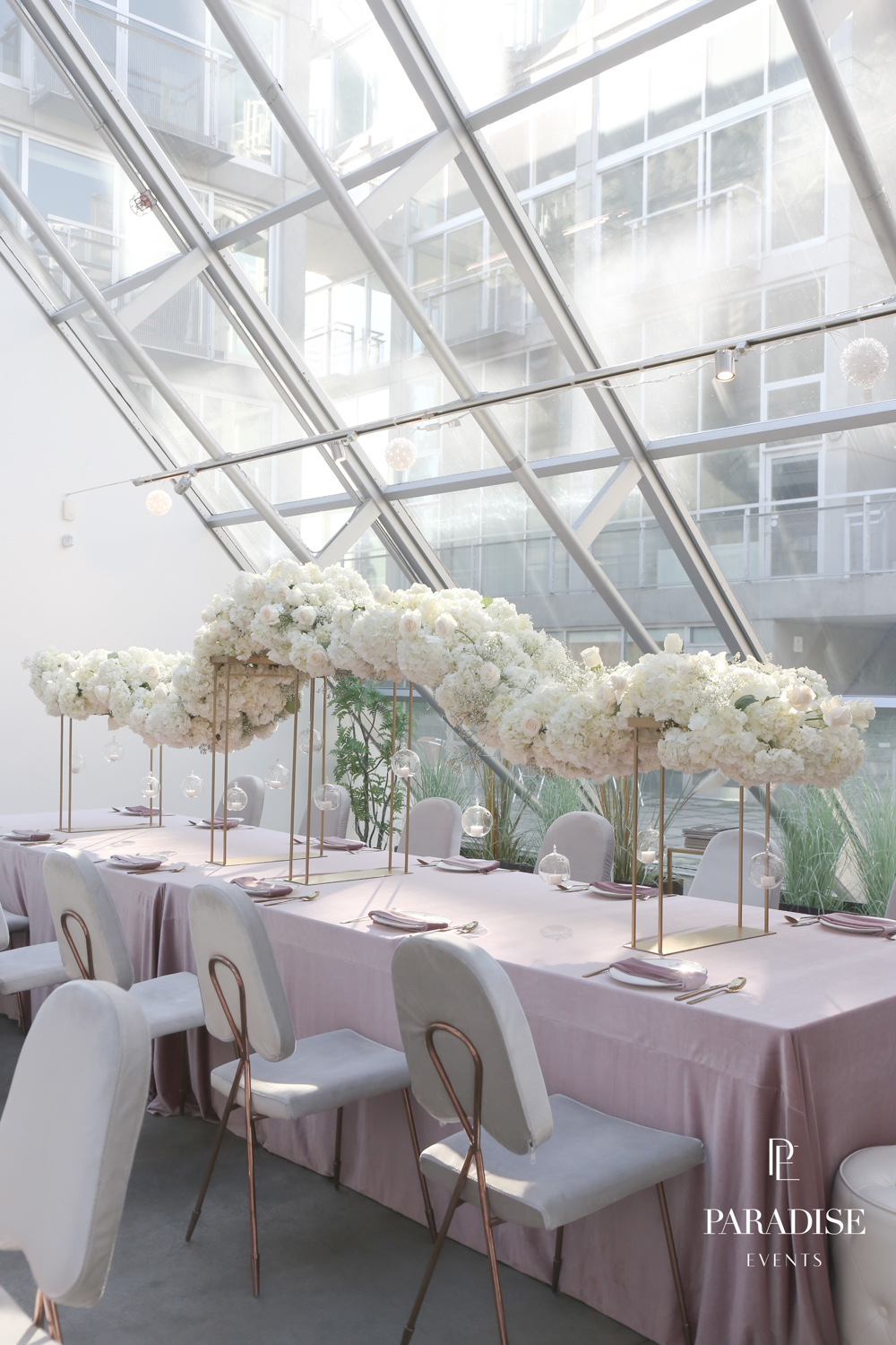 Social Events | Paradise Events